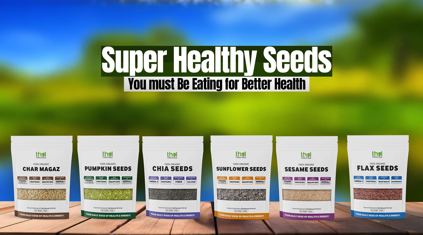 Why Seeds Deserve a Spot in Your Diet? – Thal Naturals